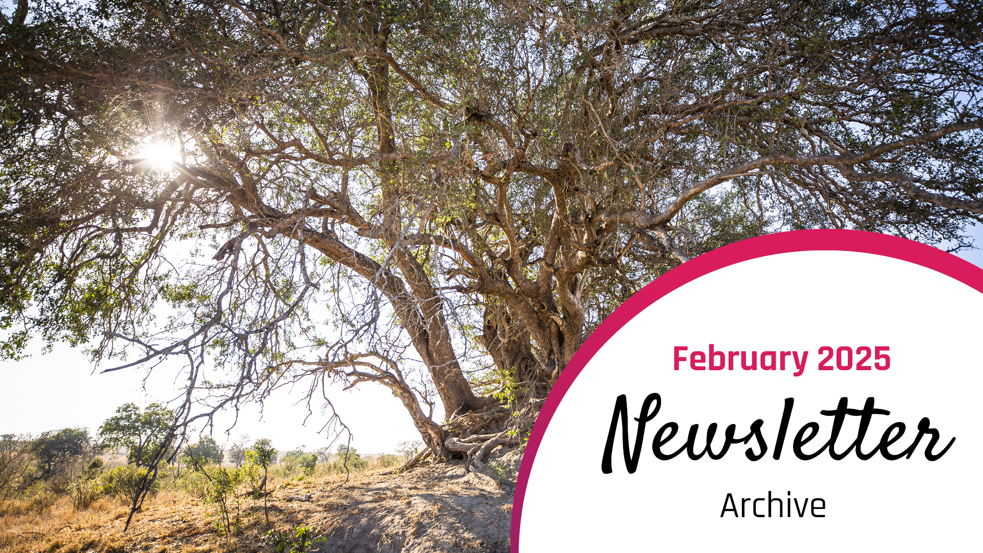 January-2025-Newsletter-Archive – Inclusion Tree